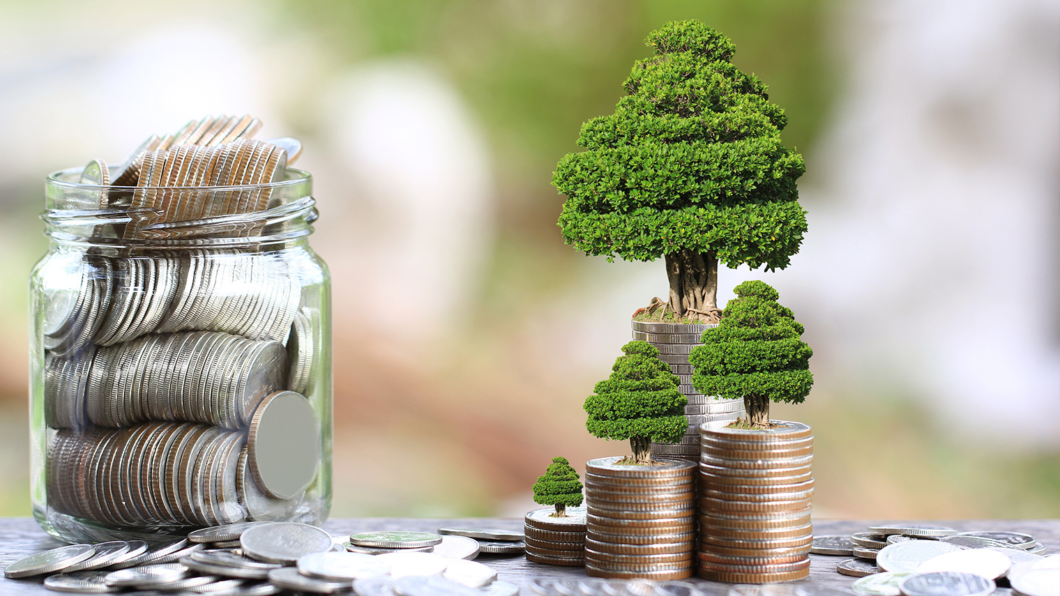 CIS Mutual Funds (SEC) - Republic Wealth Management Limited